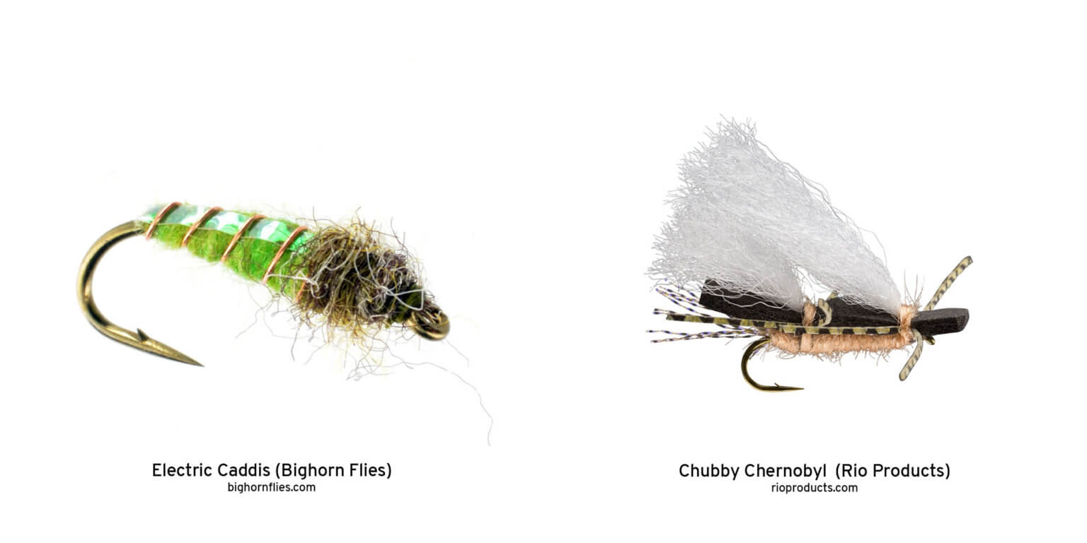 An Introduction to Spring and Summer Flies | Fly Fishing in Colorado ...