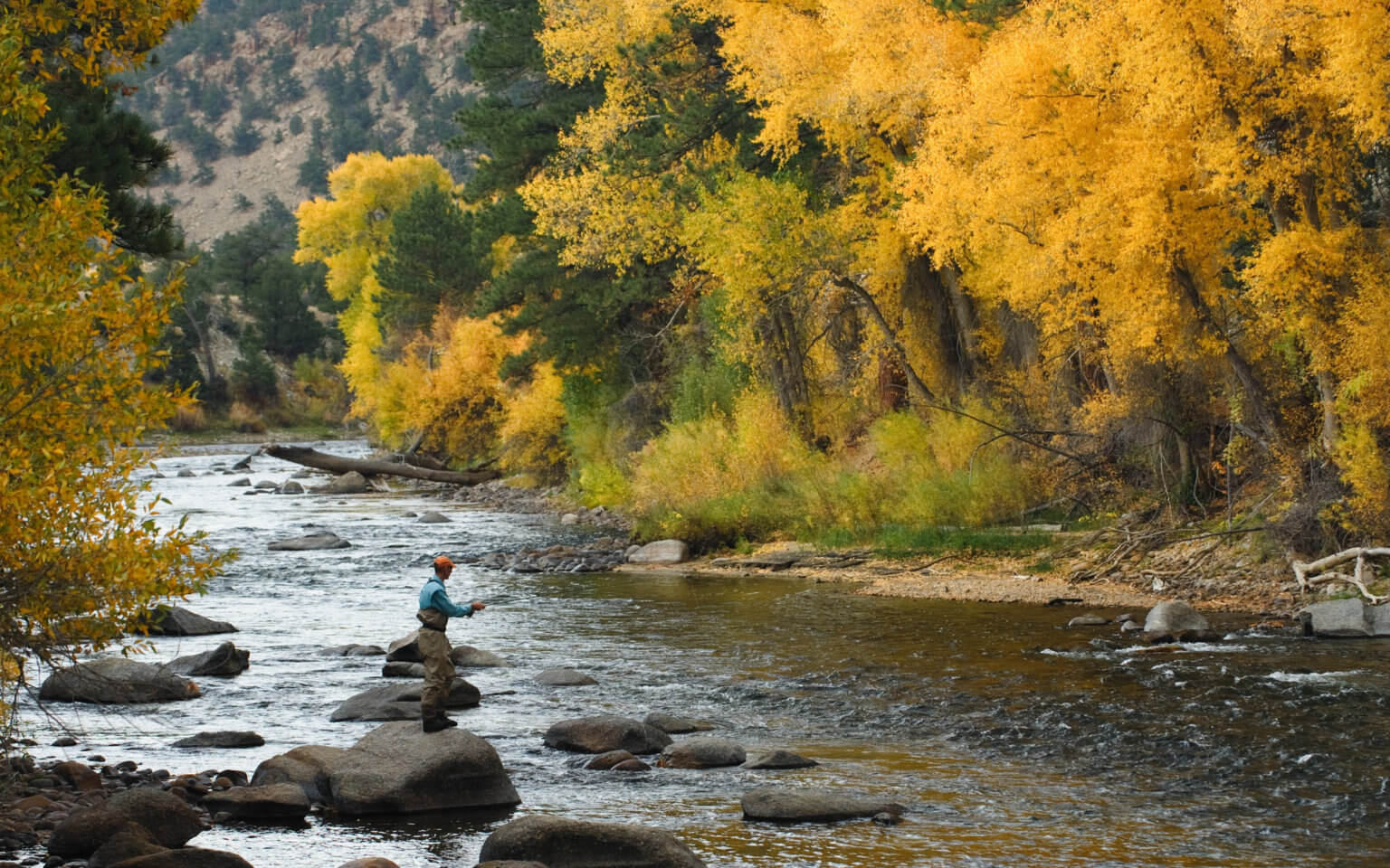 Where to Fly Fish in the Fall in Colorado | Fly Fishing Colorado