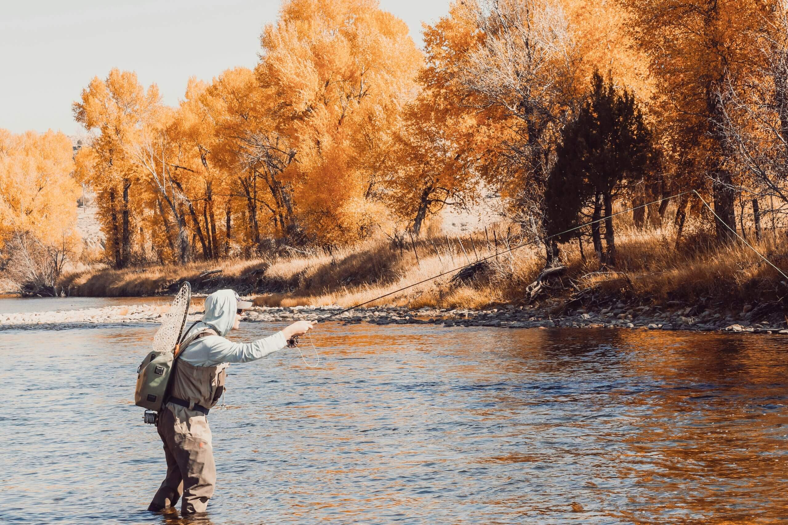 | Fly Fishing Colorado